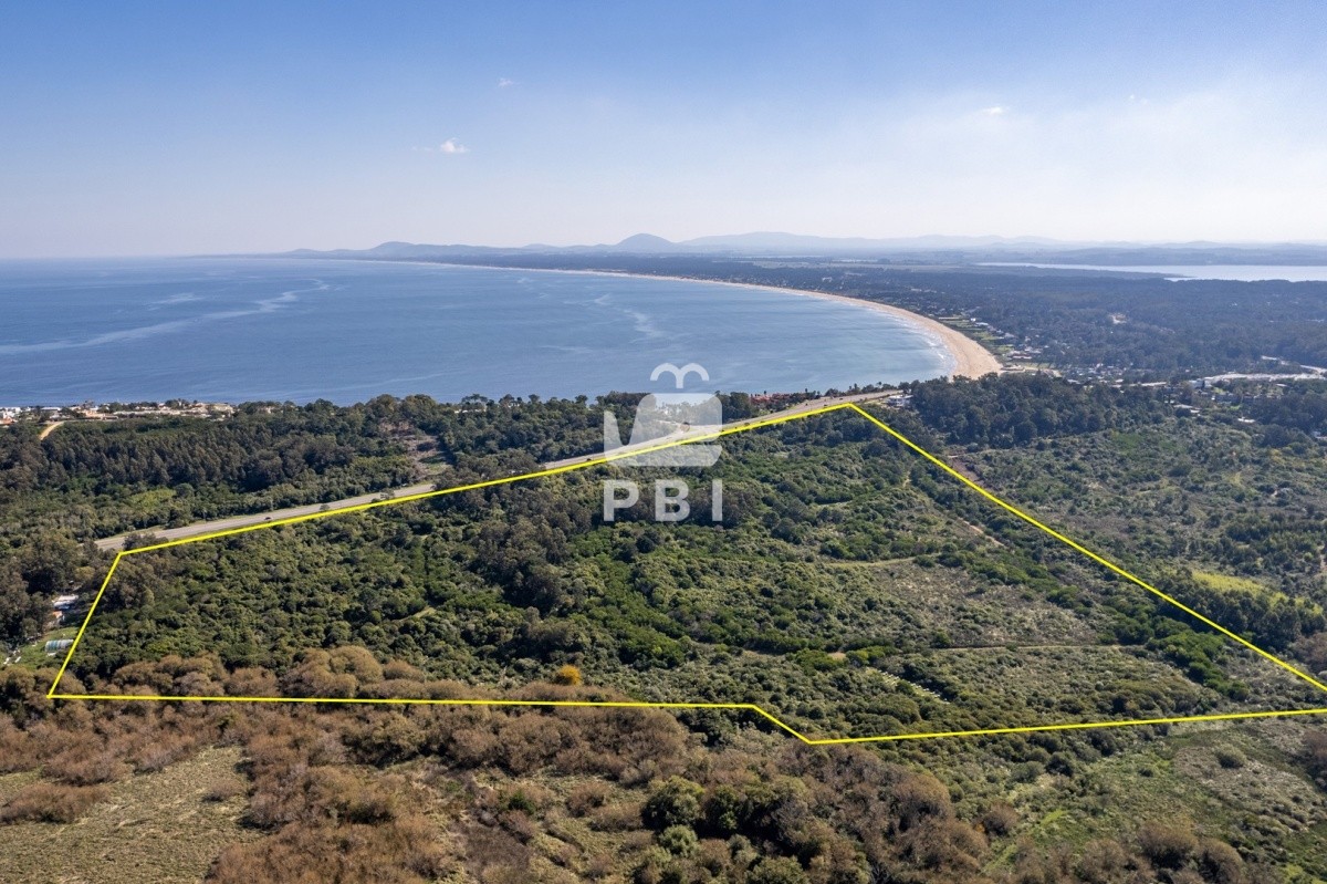 Terreno de 22,8HA con 700m de frente a la Ruta IB - Ref : PBI3224. Ref ...