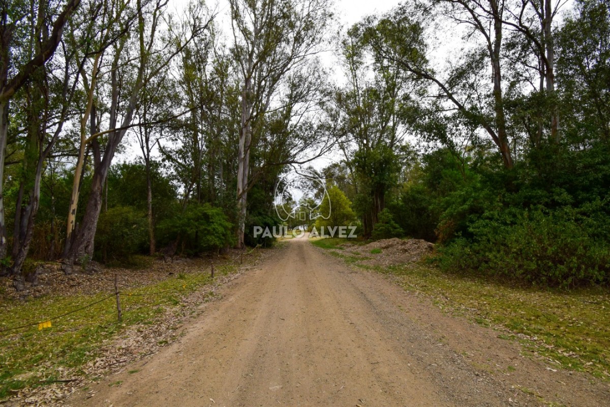 A 100 metros del mar. Ref #GA1613 - infocasas.com.uy