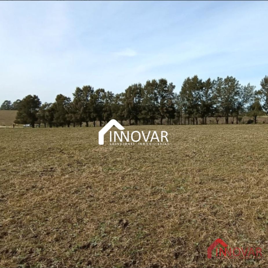 VENTA OPORTUNIDAD CHACRA CAMPO 6 HECTAREAS PROXIMA A RUTA 11 EN ATLANTIDA. Ref #Y21019