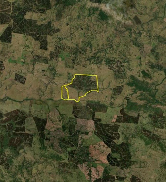 (BPV-BPV-6390) Venta de Campo Forestal - Ganadero en Rocha / Maldonado ...