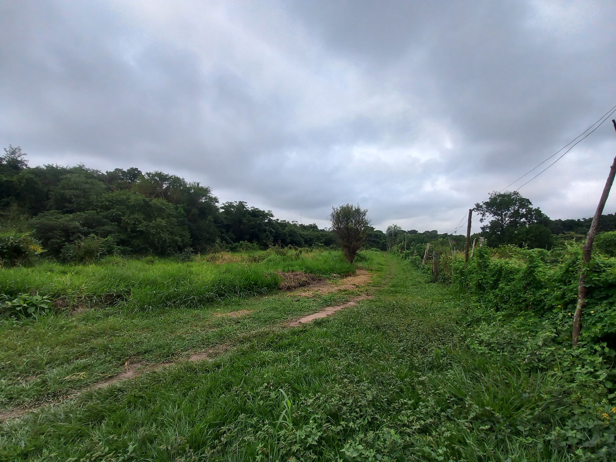 Atención Inversionistas Terreno En Venta Tarope...Vía Cotoca. Ref #O93120