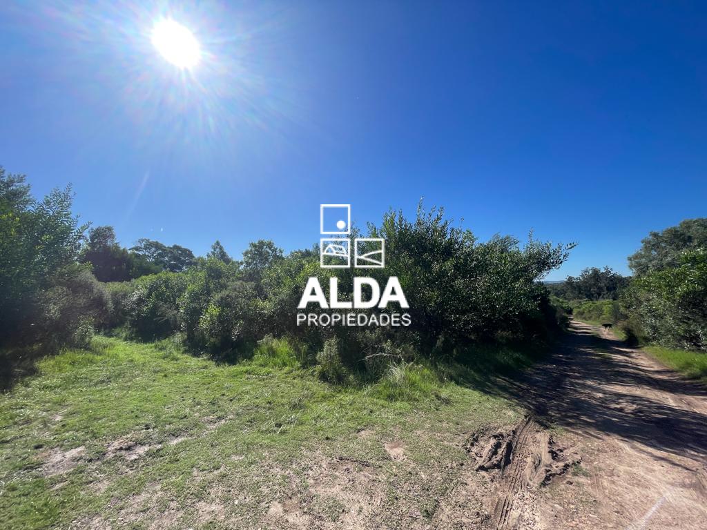 Terreno en Playa hermosa Ref. TE501650. Ref #IE02D3 - infocasas.com.uy