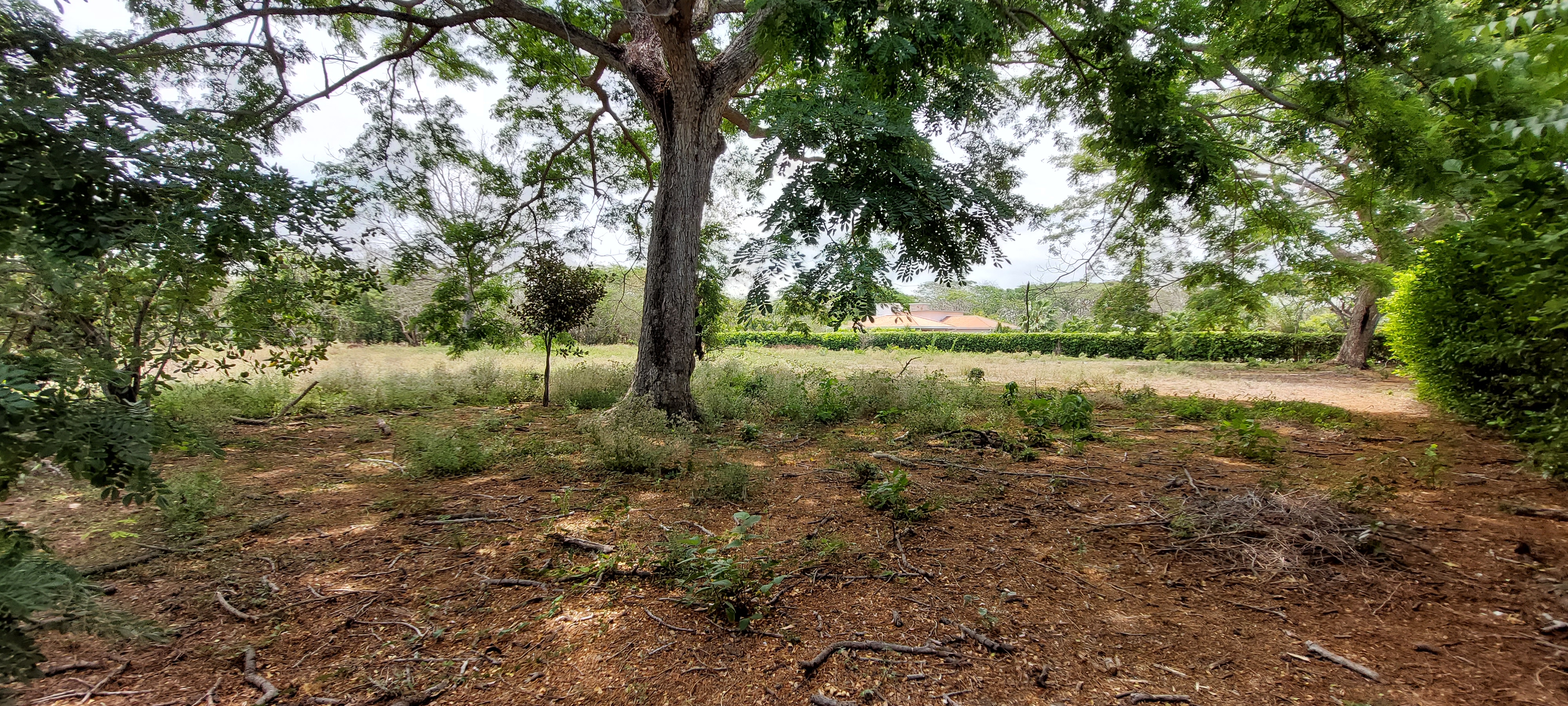 Lote en Venta en Cartagena, Cartagena