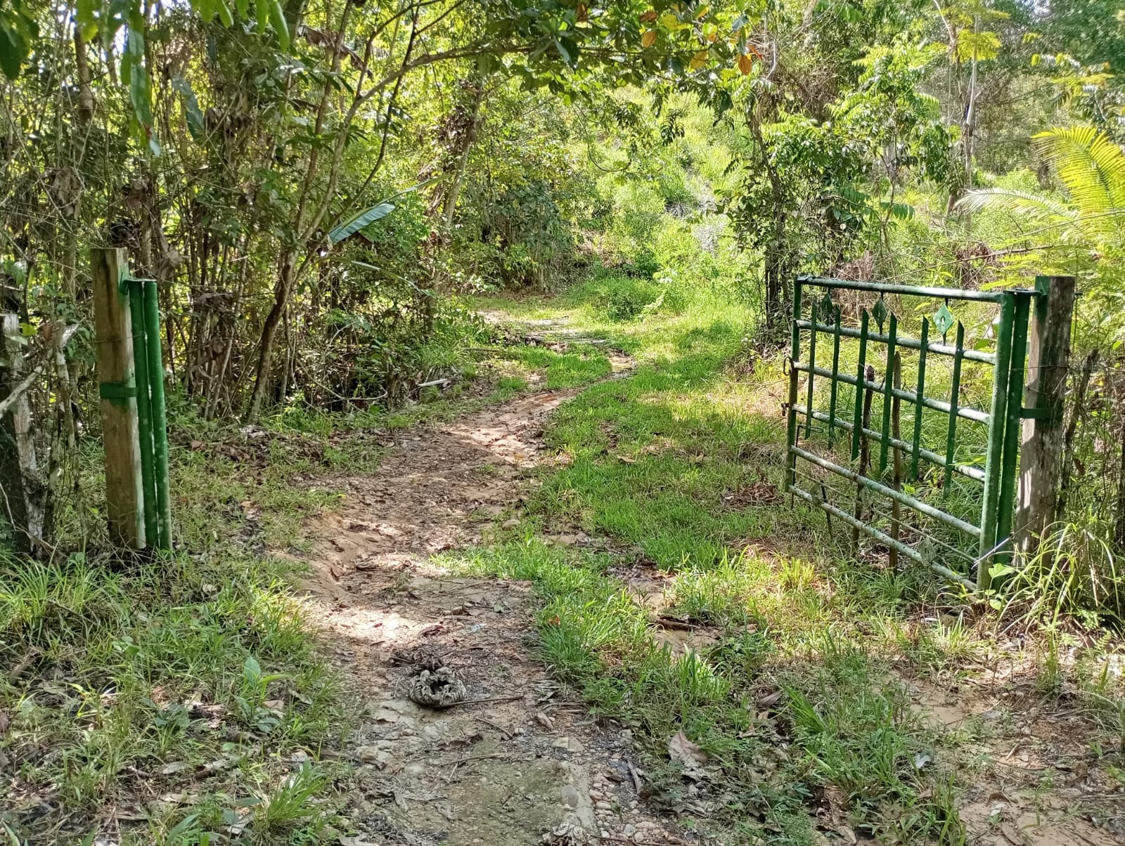 Finca en Venta en Sabana de torres, Sabana de torres
