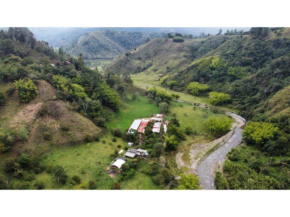 Finca en Venta en Salento, Salento
