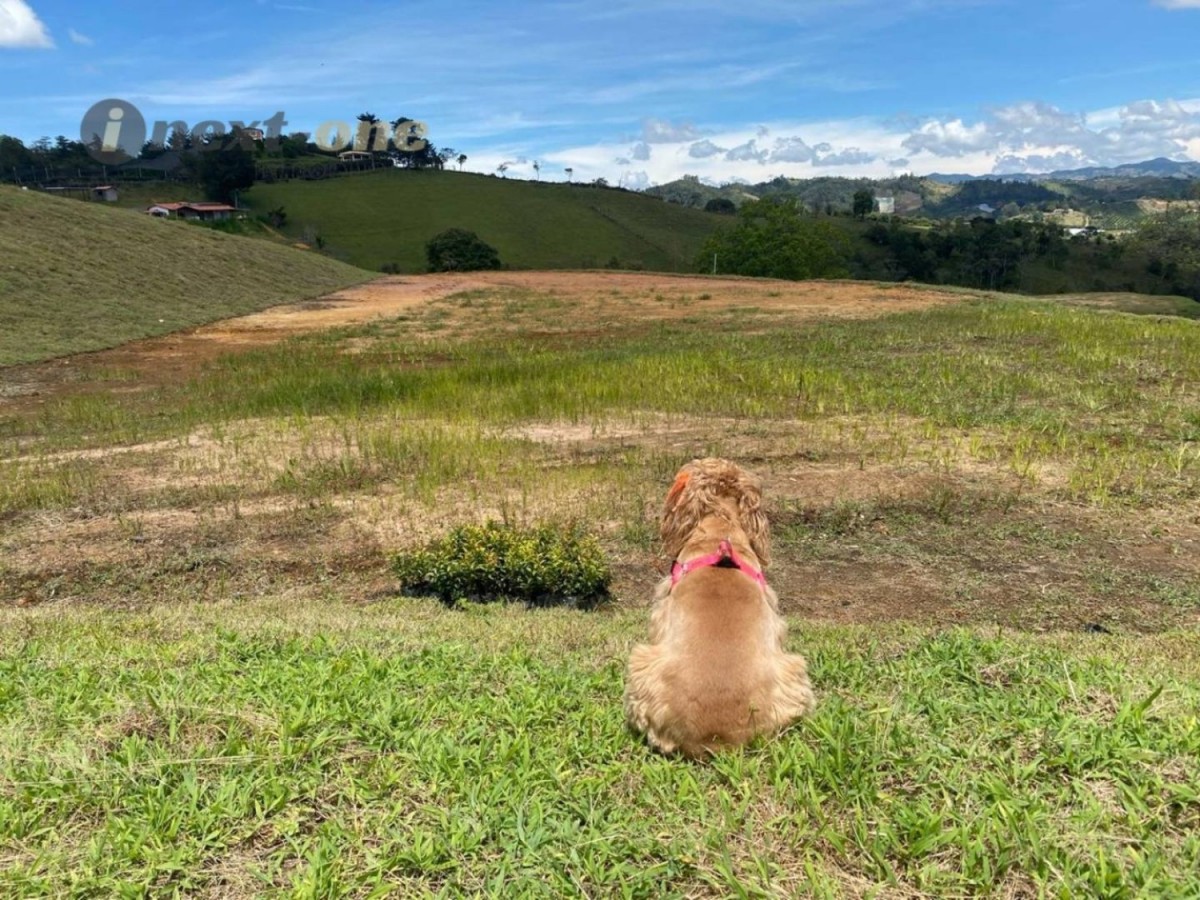 Lote en Venta en San vicente, Alto la compa ia