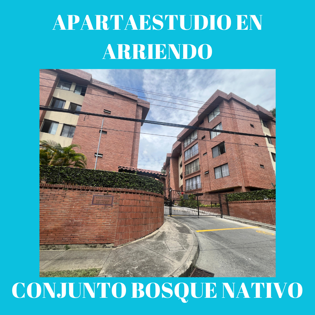 Apartaestudio en Arriendo en Ibagué, Ibagué