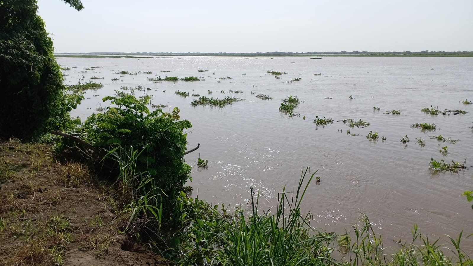 Finca en Venta en Suan, Suan