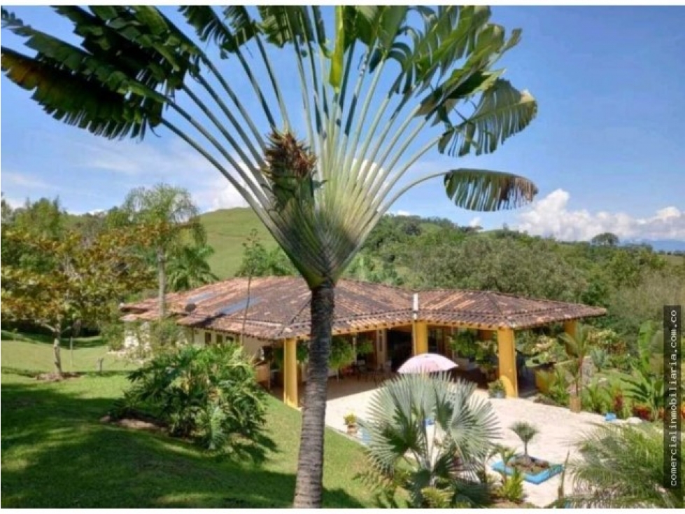 Finca en Venta en Venecia, Venecia