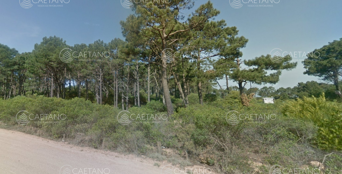 Venta terreno Chihuhua, Punta del Ballena. Ref #LF0E23