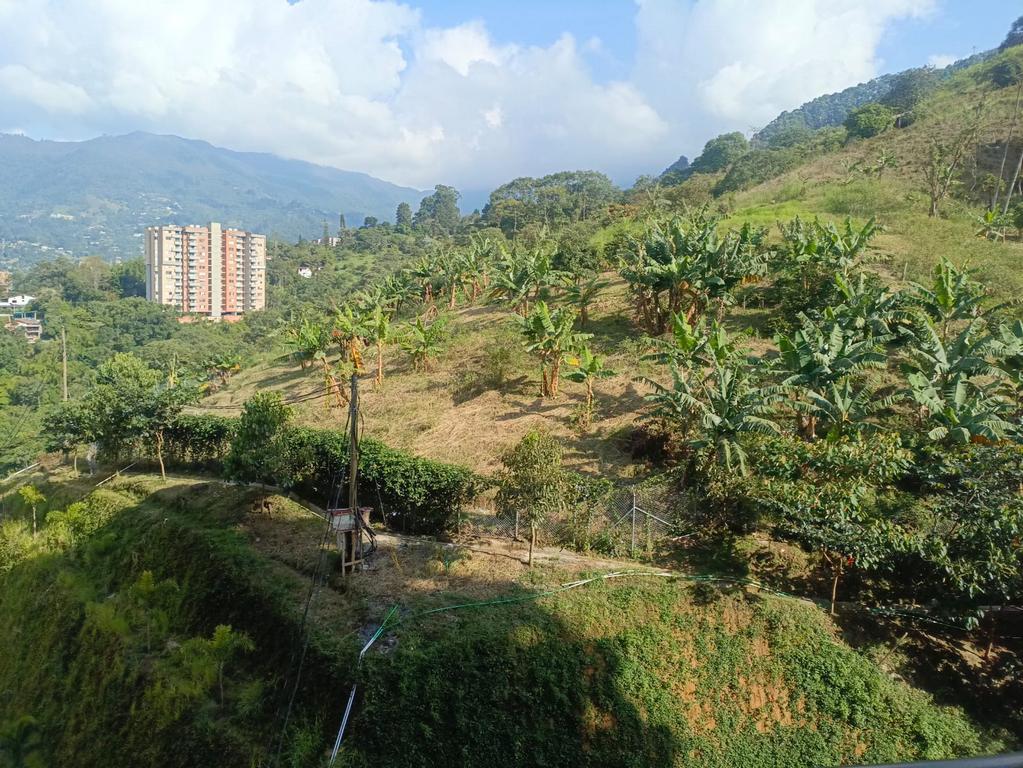 Apartamento en Arriendo en Envigado, El trianon