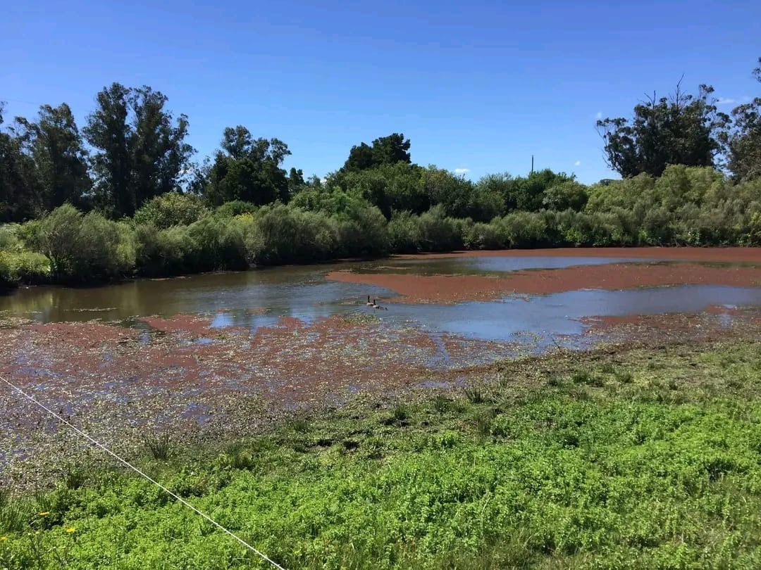 Venta De Campo En Pan De Azúcar, 36 Ha Con Vista A Las Sierras De Las ...