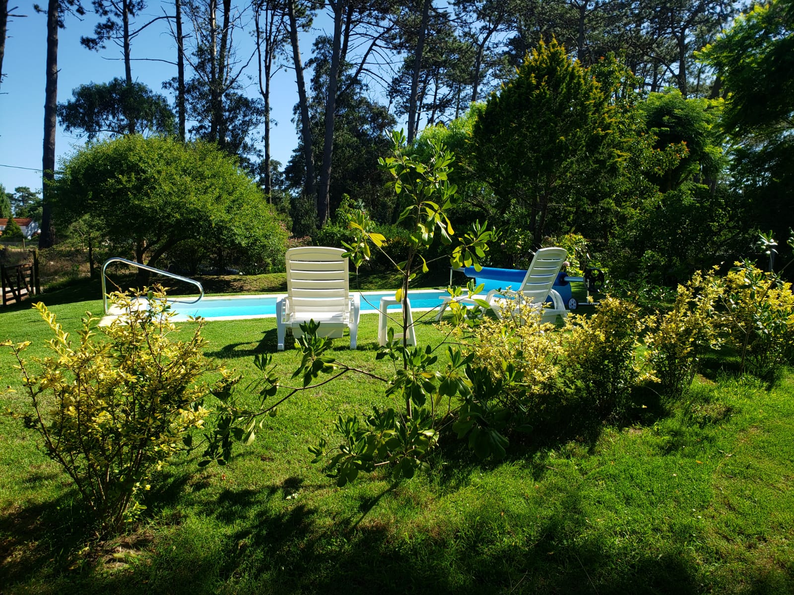 Piscina Climatizada - Zona De Bosque Punta Del Este. Ref #FF1BC - infocasas.com.uy