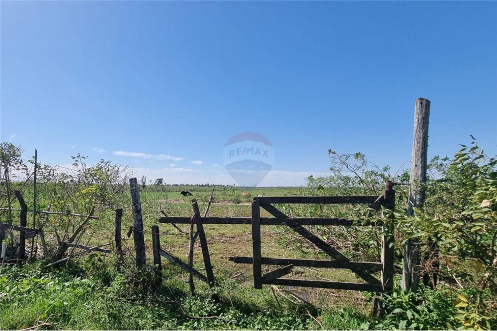 PROPIEDAD DE 7 HECTAREAS EN BENJAMIN ACEVAL. Ref #ED7AB7 - infocasas.com.py