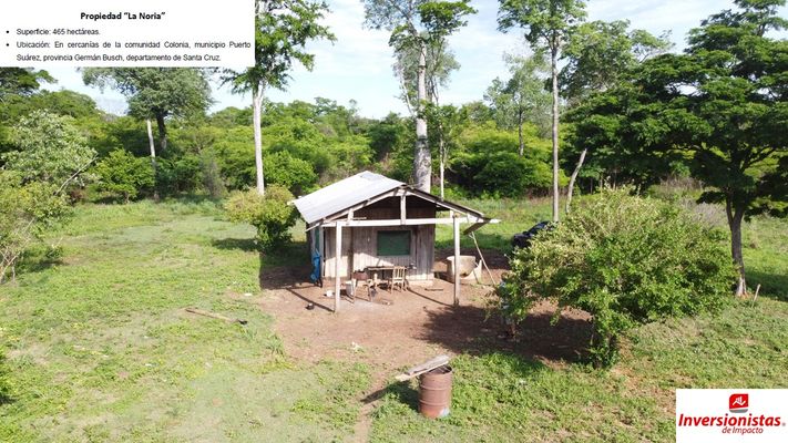 PROPIEDAD GANADERA EN PUERTO SUAREZ. Ref #W81501 - infocasas.com.bo