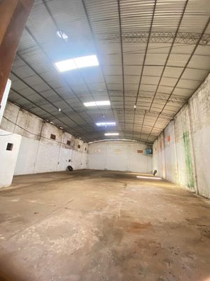 ALQUILO DEPÓSITO / TINGLADO EN MARIANO ROQUE ALONSO. Ref #Z3A489 - infocasas.com.py