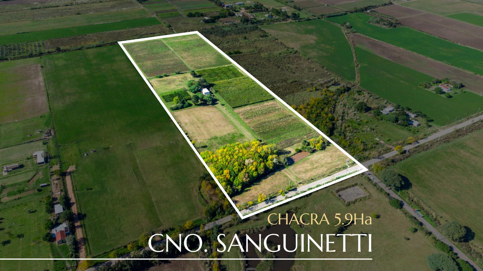 Chacra en La Colorada, A 5Km de Santiago Vazquez. Ref #VAD3D6